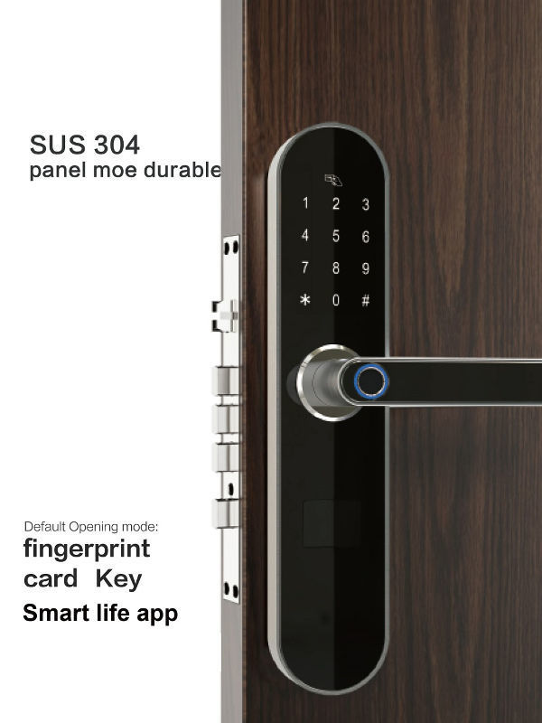 China 2021 Best Wifi Smart Sliding Electronic Door Lock,Keyless Wifi ...