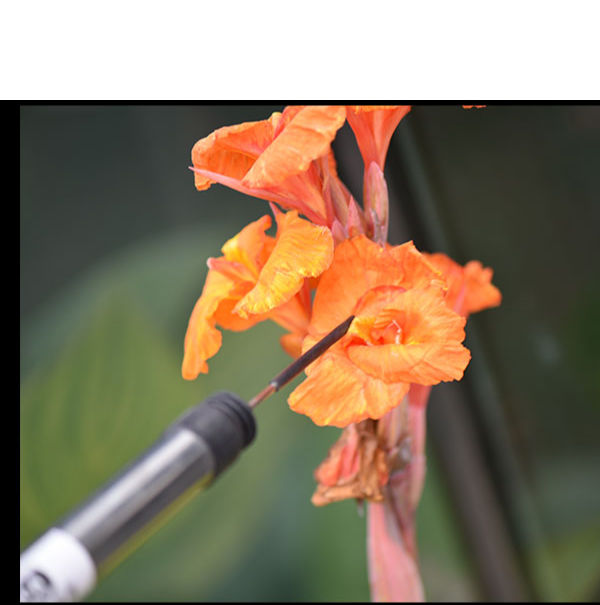 Vegetable pollination machine/Tomato pollinator tool, Flower pollinator ...
