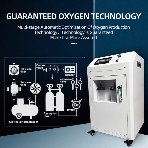 China Oxygen-concentrator oxgen oxygen generator medical 5l 10l mini ...