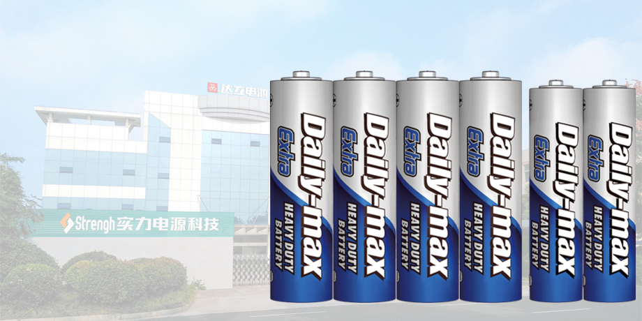 China Daily-max D R20P 2S Heavy Duty Zinc-carbon Battery Dry Batteries ...