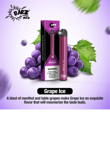 Barz Max Disposable Pod 600 Puffs Disposable Vape Device 5.0ml Nic-Salt ...