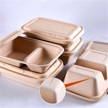 China Food containers PLA Hot Sale plastic meal Biodegradable Takeaway ...