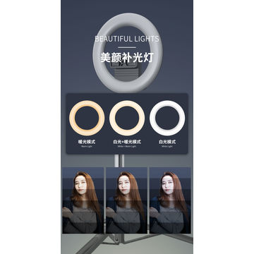 China Amazon newest rechargeable 8'' LED ring light for photography ...