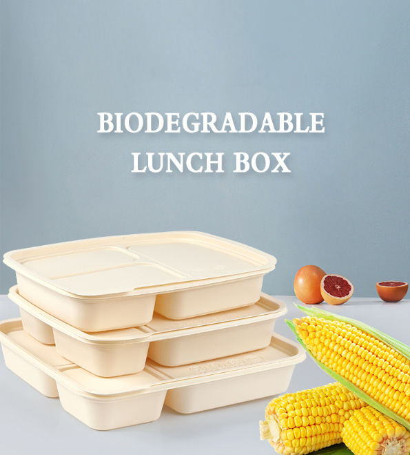 China Eco-friendly Biodegradable Takeaway Food Boxes Microwavable ...