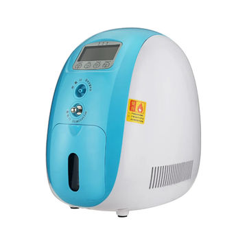 China Mini Portable 1L Oxygenerator with battery for travel used in ...