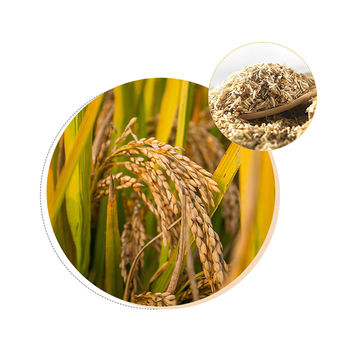 China Rice husk plates round 100% biodegradable rice husk fruit plate ...
