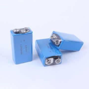 China ER9V Lithium Primary Battery Pack LiSOCL2 9V 1200mAh on Global ...