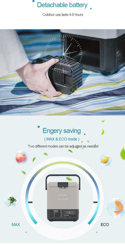 China Car refrigerator,portable freezer camp fridge 8l 12v car ...