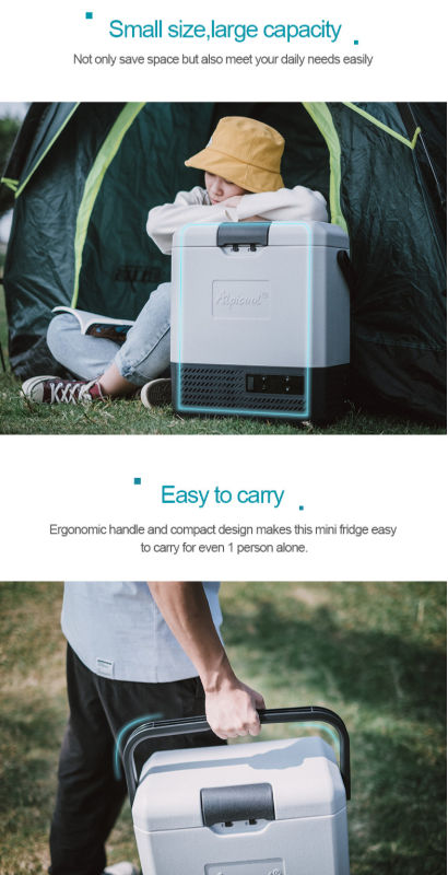 China Car refrigerator,portable freezer camp fridge 8l 12v car ...