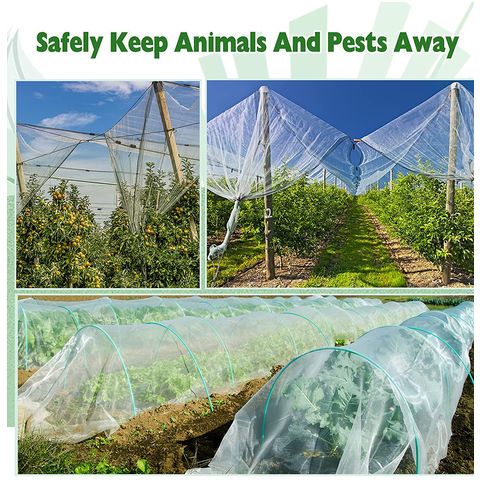 China Anti Bird Protection Net Mesh Garden Plant Netting Rodents Birds ...