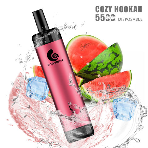 China Cozy Hookah 5000puffs Nic Salt Prefilled disposable hookah on ...