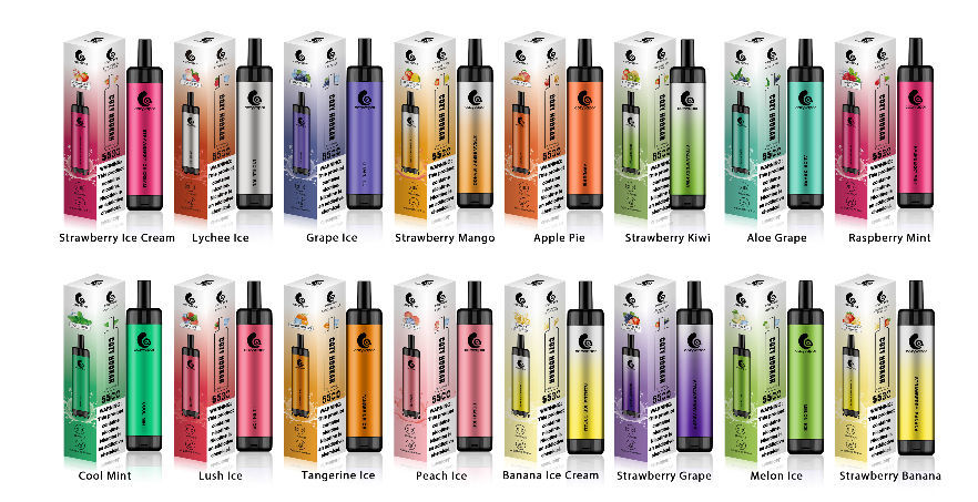 China Cozy Hookah 5000puffs Nic Salt Prefilled disposable hookah on ...