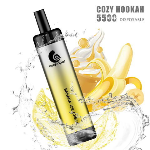 China Fresh Peach Ice Cozy Hookah 5000puffs disposable vape device on ...