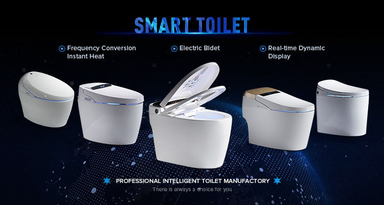 China Intelligent Toilet One Piece Ceramic Sanitary Ware Hygienic Full ...