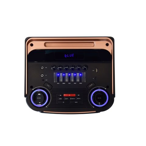 China Dual 10 inch trolley party box bluetooth speaker 100W on Global ...