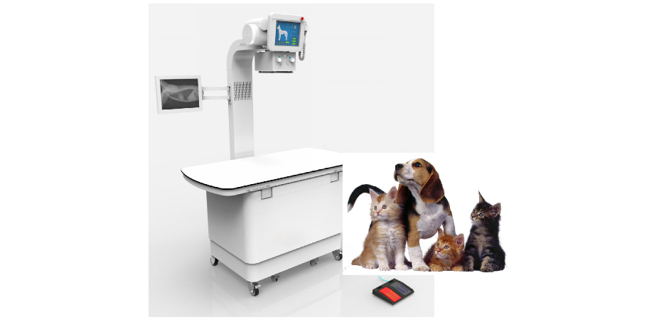 China Veterinary digital x-ray machine mobile digital X-Ray Machine ...
