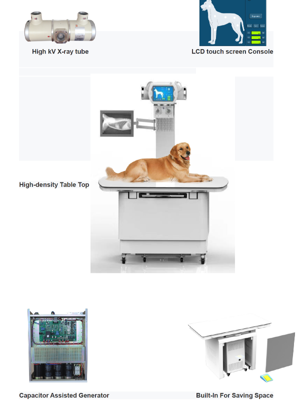 China Veterinary digital x-ray machine mobile digital X-Ray Machine ...