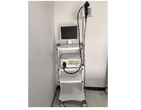 Medical animal Veterinary flexible rigid endoscopy tower Vet Video ...