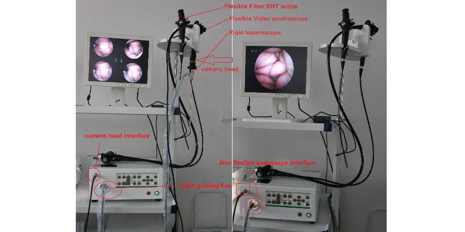 Medical animal Veterinary flexible rigid endoscopy tower Vet Video ...