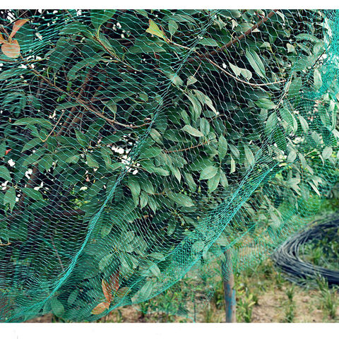 China High protection Hdpe bird mist nets for catching birds anti bird ...