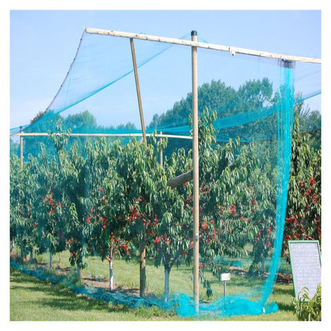 China Bird Nets Birds Net Net Hdpe Bird Nets For Catching Birds on ...