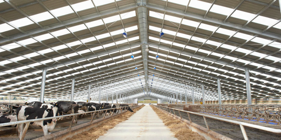 China Flat Roof Steel Frame Farm Shed, Farming Sheds, Steel Frame ...
