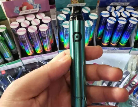 China Posh Plus XL Hot Selling Disposable Electronic Cigarette Vape Pen ...