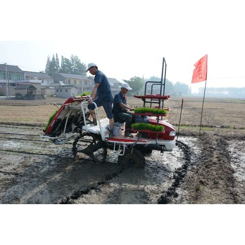 China Transplanters, Riding Type Rice Transplanter, High Speed, Diesel ...