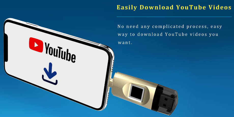 ISecure Master, APPLE iOS Fringerprint Crypto Key, security usb dongle ...