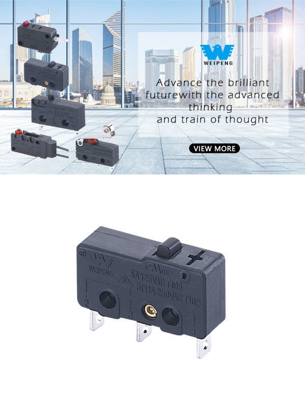 China 5A 250VAC Mini Micro Switch T85 5e4 with Solder Terminal, Micro ...