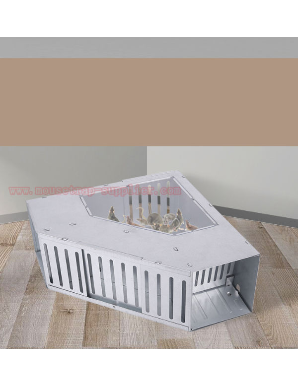 Humane Metal Triangle Corner Rat Rodent Control Multiple Live Catch ...