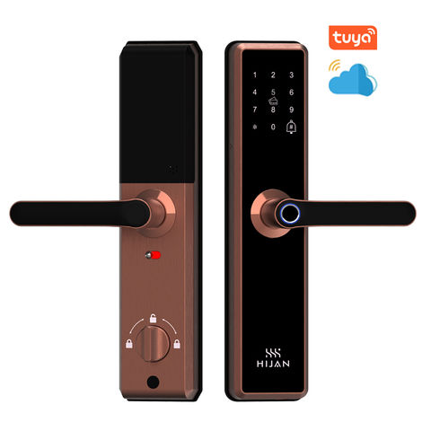 China Smart door lock smart lock smart home door digital door lock WIFI ...