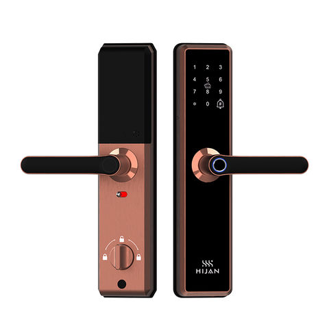 China Smart door lock smart lock smart home door digital door lock WIFI ...