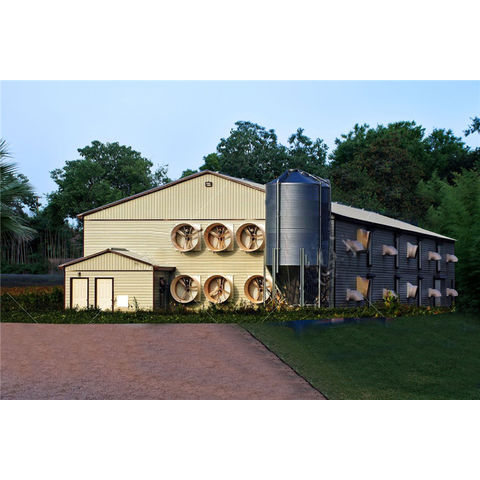 China Profiled steel sheeting steel portal frame poultry building on ...