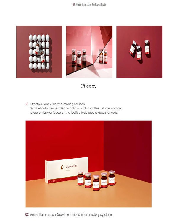 2021hot selling new products kabelline fat dissolving injection ...