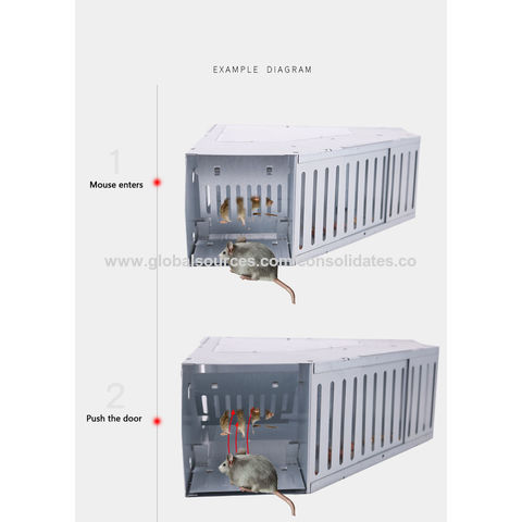 China Humane Multi-Catch Galvanized Steel Rat Bait Box Auto Rodent ...