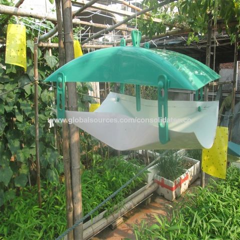 China Plastic Hanging Wing Trap Insects Pheromone Pest Control Moth ...