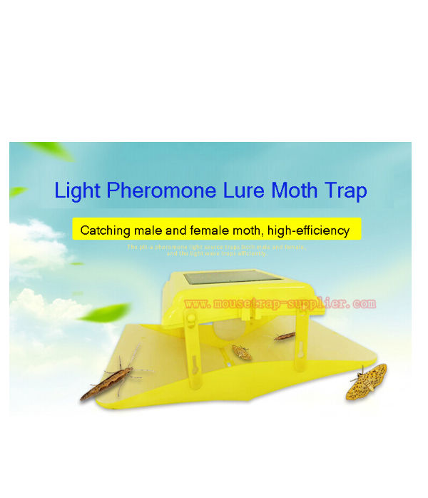 Outdoor Solar Powered Pheromone Lure Light Source Induction Pest Moth ...