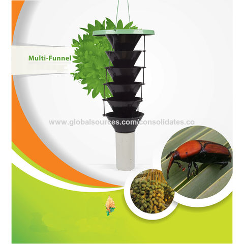 China Plastic Multi Funnel Red Palm Weevil Coleoptera Beetle Insect ...