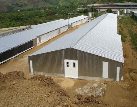 Commercial free range poultry housing, chicken farming free-range ...