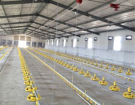 Commercial free range poultry housing, chicken farming free-range ...