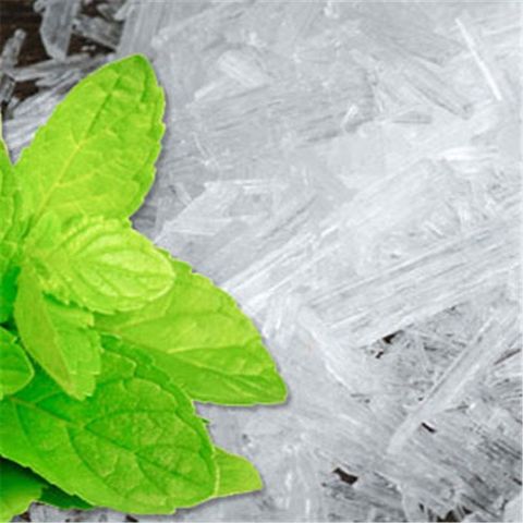 United Kingdom Pure natural organic DL-Menthol powder menthol oil on ...