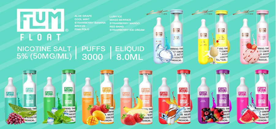 China 10 Flavors Flum Float Disposable E-cigarettes 3000Puffs Vape Pen ...