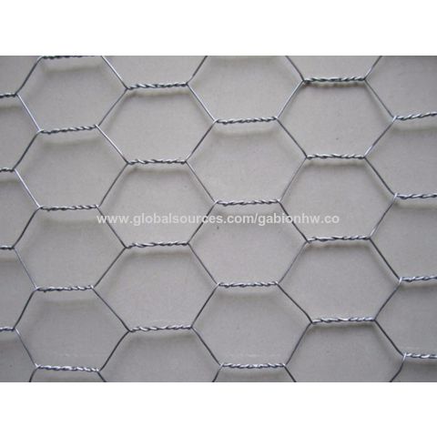 China Chicken mesh Hot dipped gal chicken wire mesh for poultry on ...