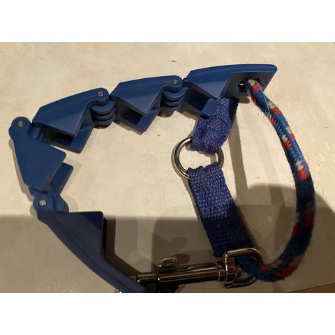 China Command Collar Pet Training Collar Dog Collar Perfect Pet Collar ...