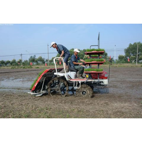 China Transplanters, Riding Type Rice Transplanter, High Speed, Diesel ...