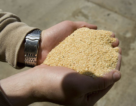 United Kingdom Protein Quality Soybean Meal / Soya Bean Meal for Animal ...