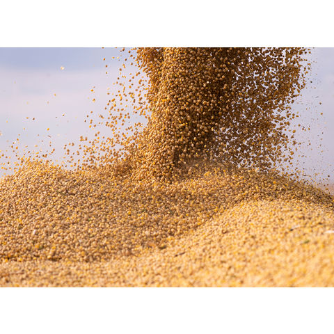 United Kingdom Protein Quality Soybean Meal / Soya Bean Meal for Animal ...