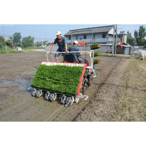 China Transplanters, Riding Type Rice Transplanter, High Speed, Diesel ...