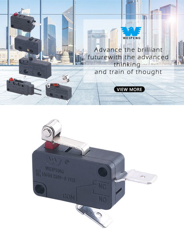 China Sub-miniature snap-action micro switches, up to 5A/10A/21A125 ...